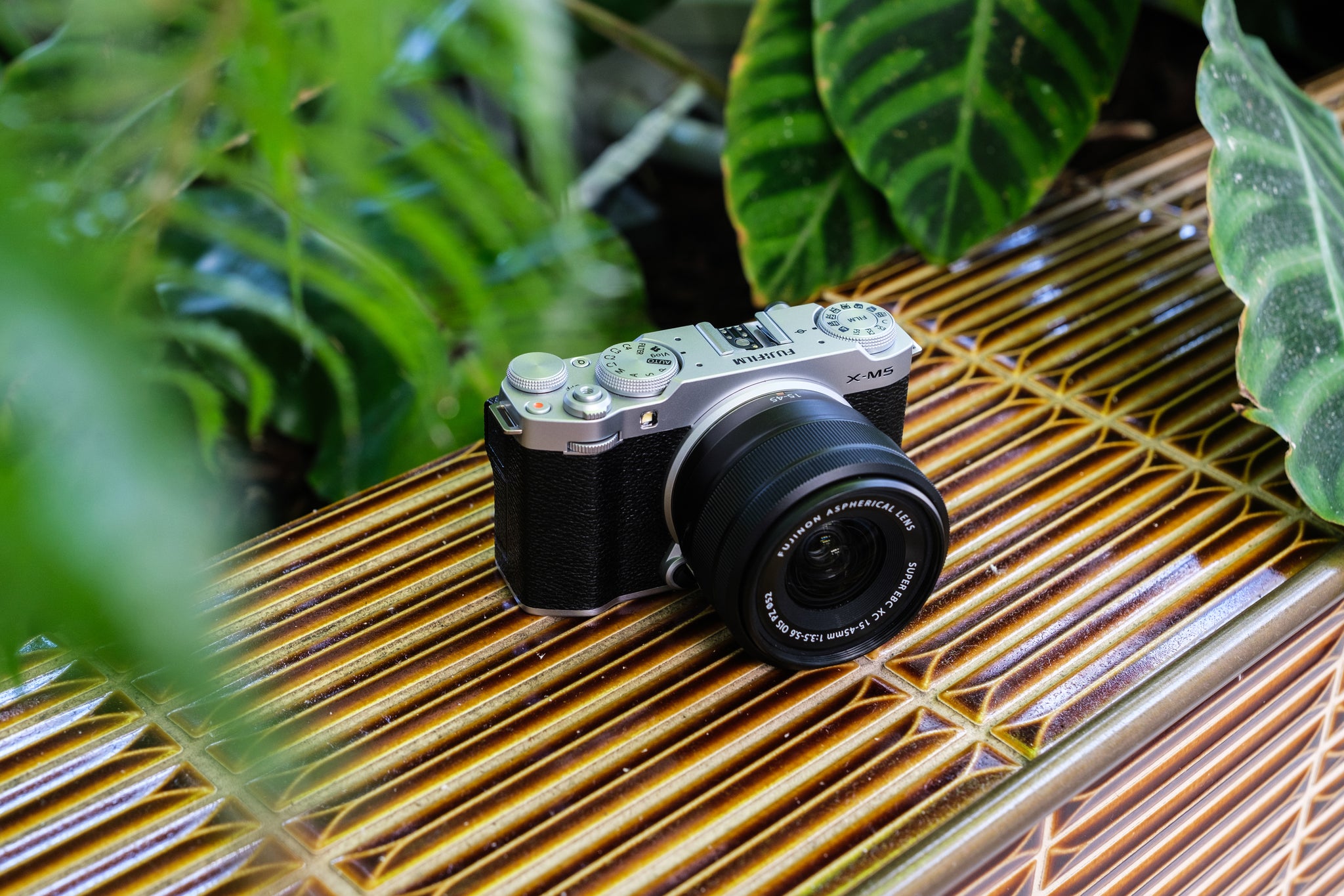 Understanding Camera Technology: Mirrorless vs. DSLR vs. Smartphone Ca