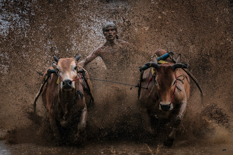 Discover X-H2S | Fujifilm AU House of Photography